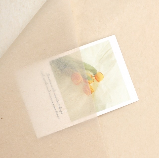 Solid-color pear paper, white inner lining paper for bouquets, flower ...